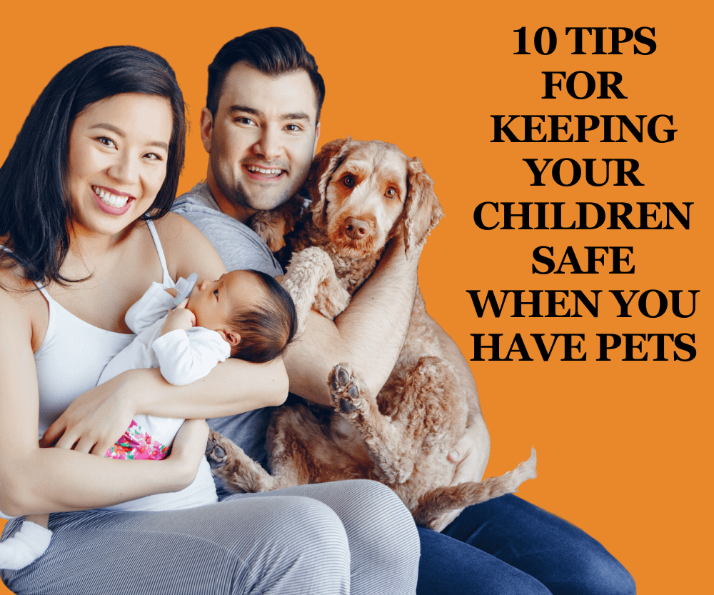 10 Tips for Keeping Your Children Safe When You Have Pets | Belle Isle ...