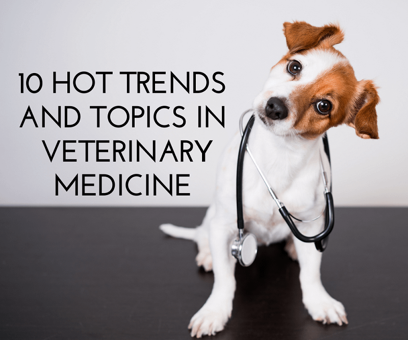 10 Hot Trends and Topics in Veterinary Medicine | Belle Isle Animal ...
